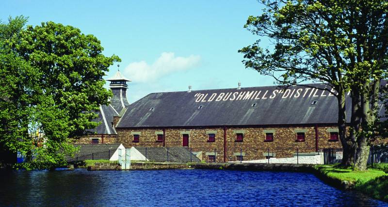 Bushmill's Distillery - Fairways and FunDays